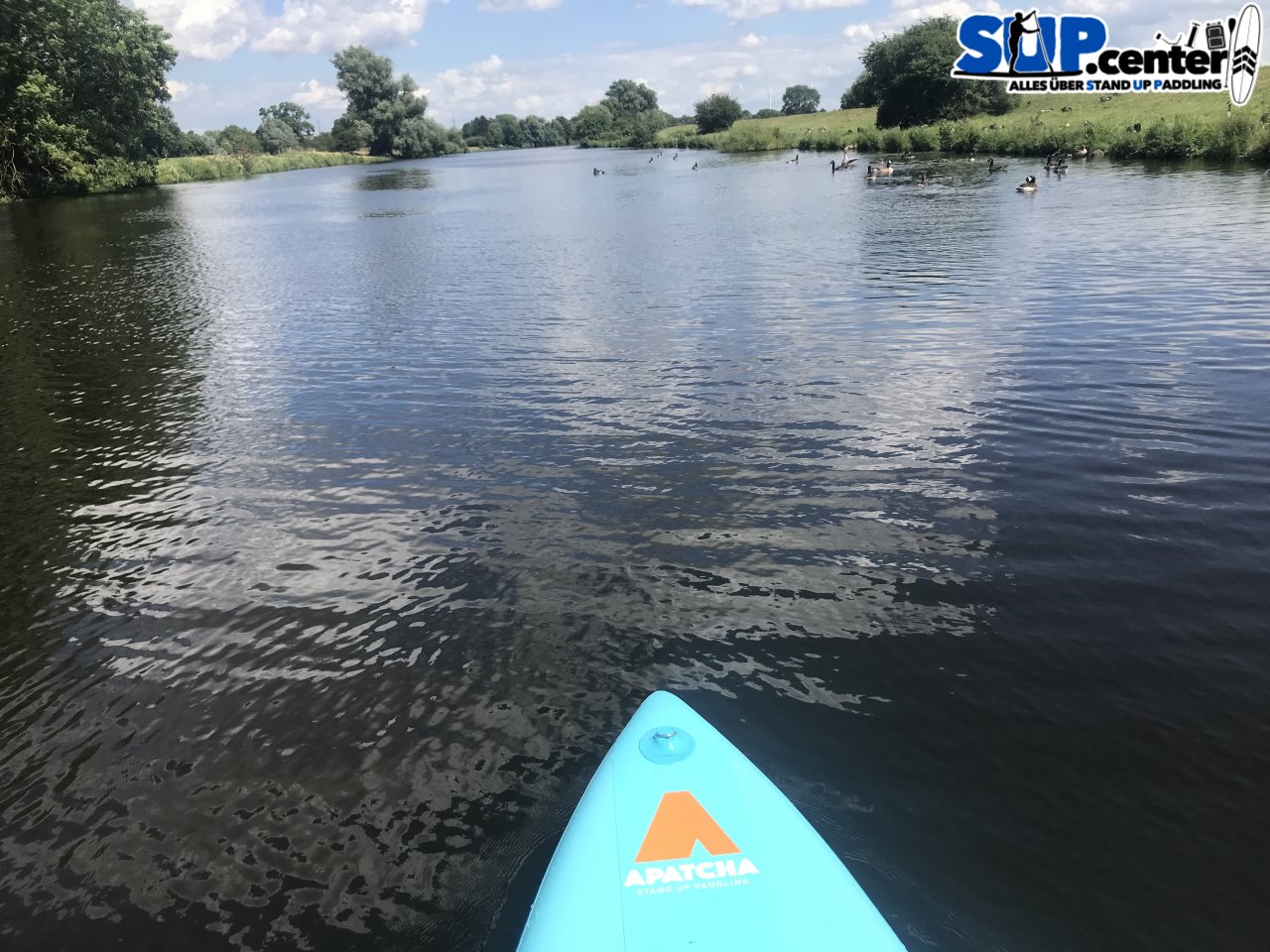 SUP-Tour auf der Dove- & Gose-Elbe: 20 km Rundkurs im Süden von Hamburg ...